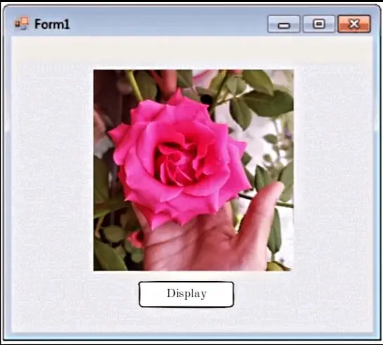 Uploading And Downloading Image In C Windows Application Codebun