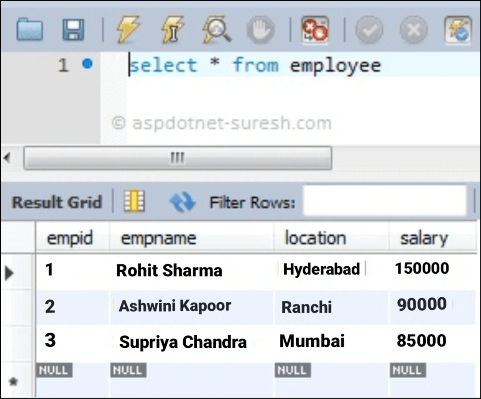 Read And Write Data From MySQL Database In Visual Basic VB NET Codebun