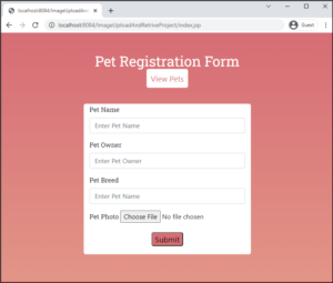 How to Upload and Retrieve image from MYSQL in JSP and Servlet – Codebun