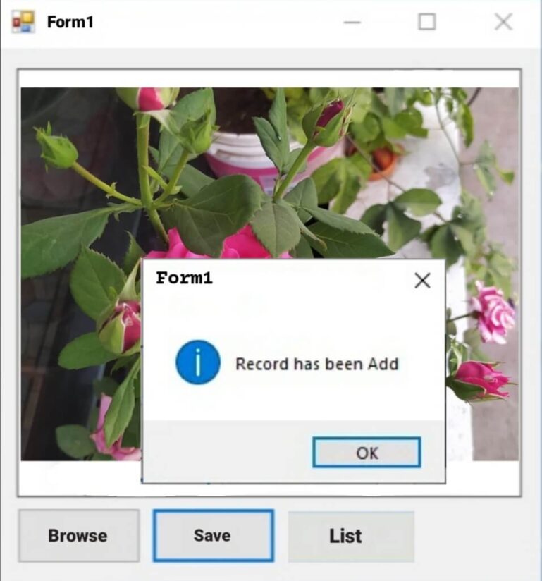 Image Uploading And Downloading In Visual Basic Vb Using Mysql Codebun 8682